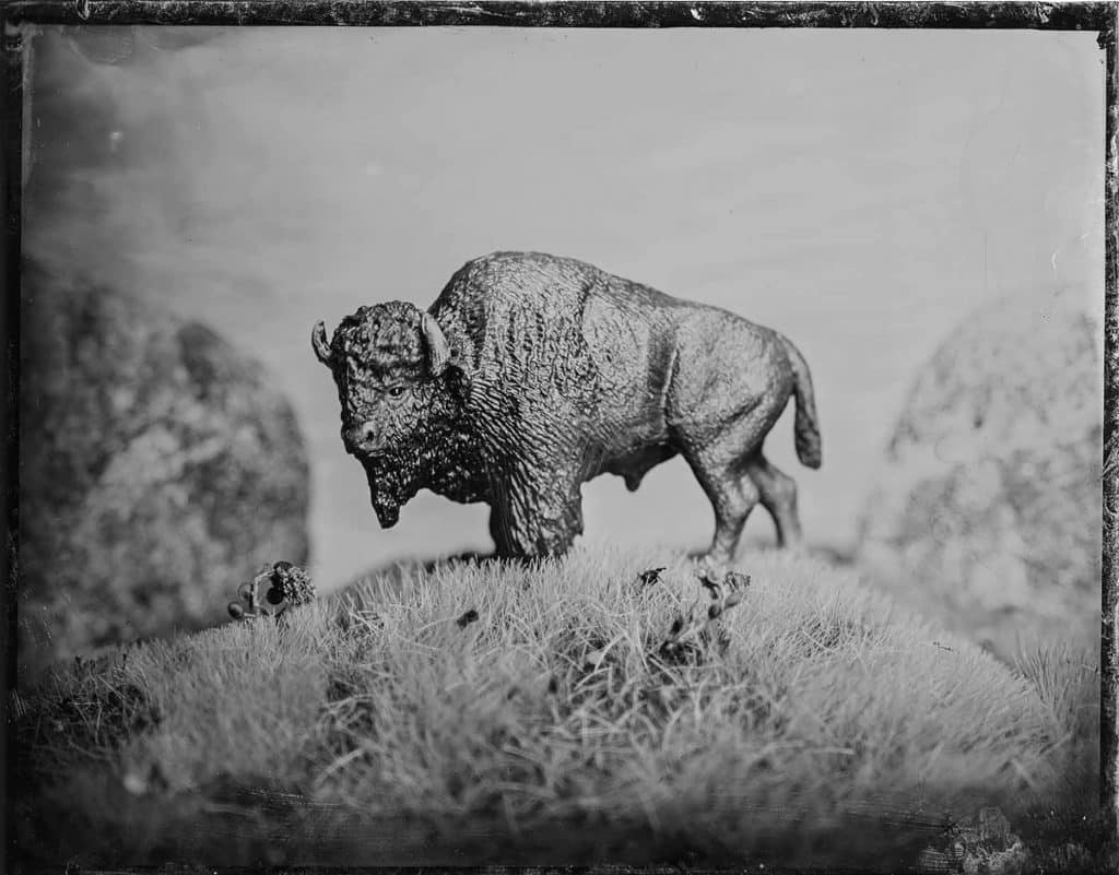 Steamboat photographer creates his own artistic flair by embracing age-old process ...